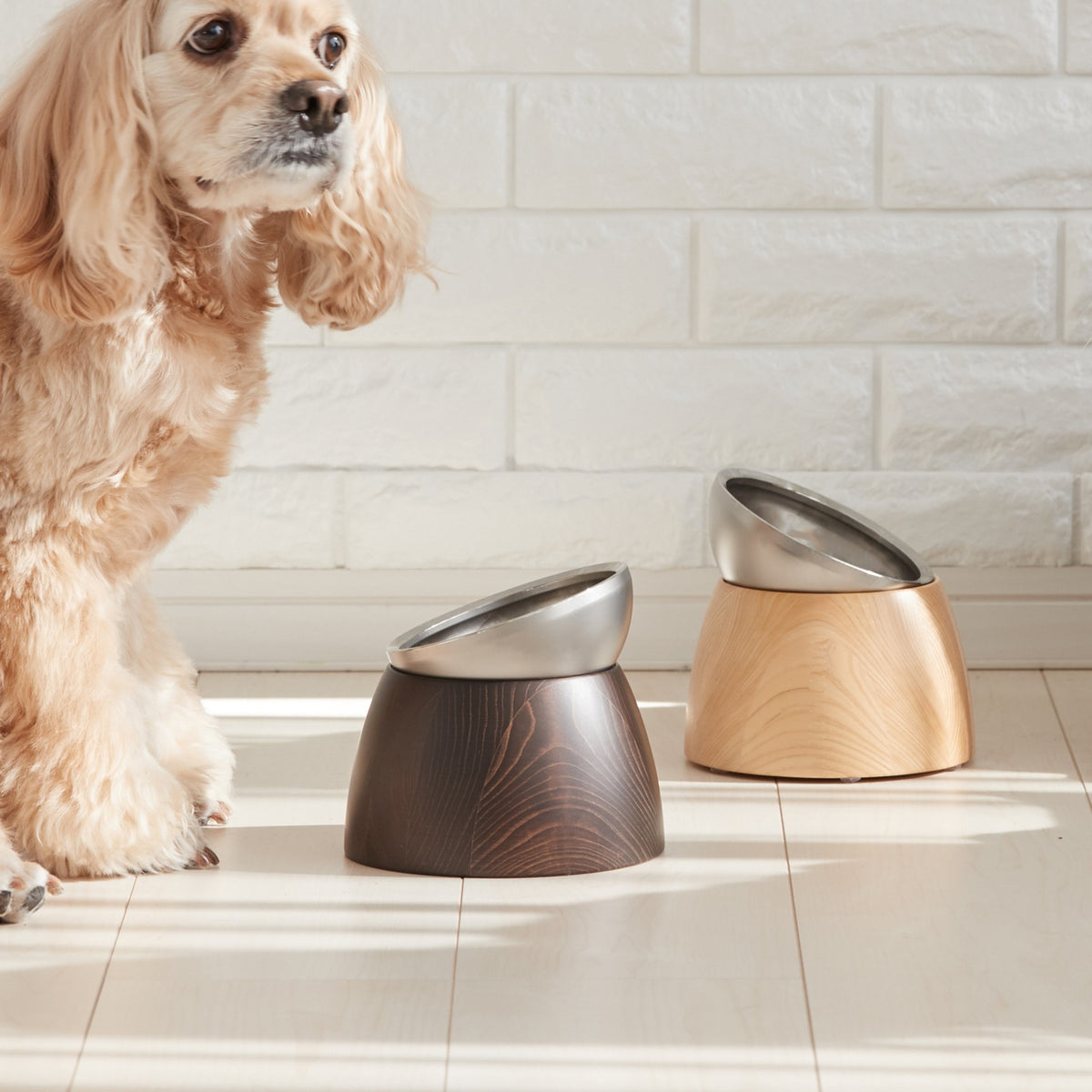 Precision-crafted Pet Bowl – Yanko Design Select